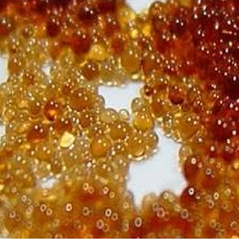 RESINAS DE TROCA IÔNICA - AmbientalGO